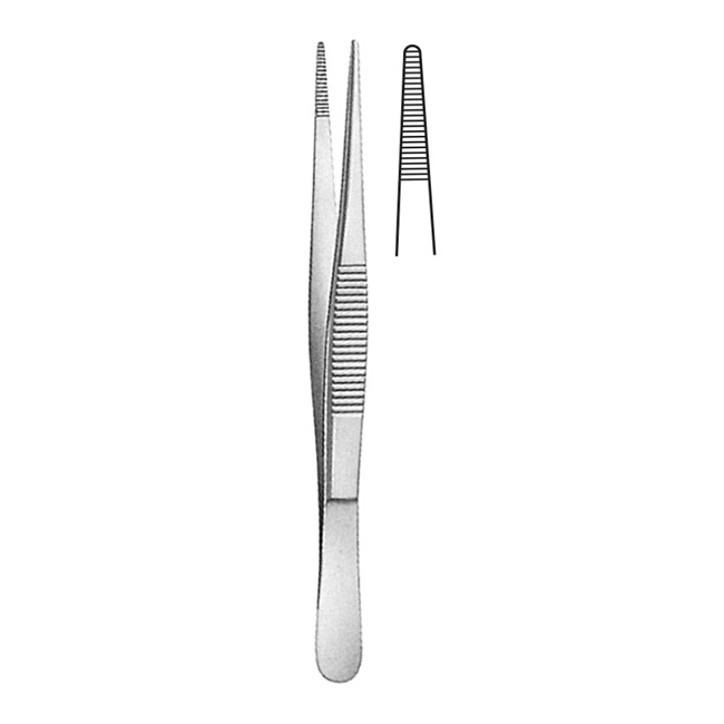 Serrated Dissecting Forceps – Fardan Enterprises