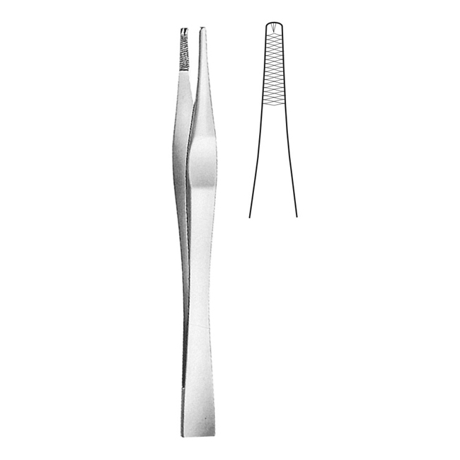 Toothed Dissecting Forceps – Fardan Enterprises
