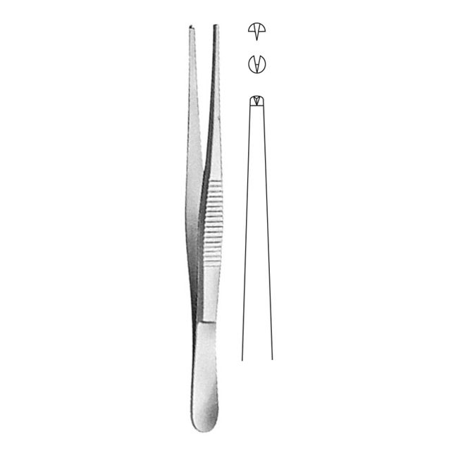 Toothed Dissecting Forceps – Fardan Enterprises