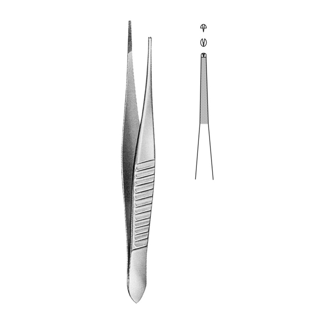 Toothed Dissecting Forceps – Fardan Enterprises