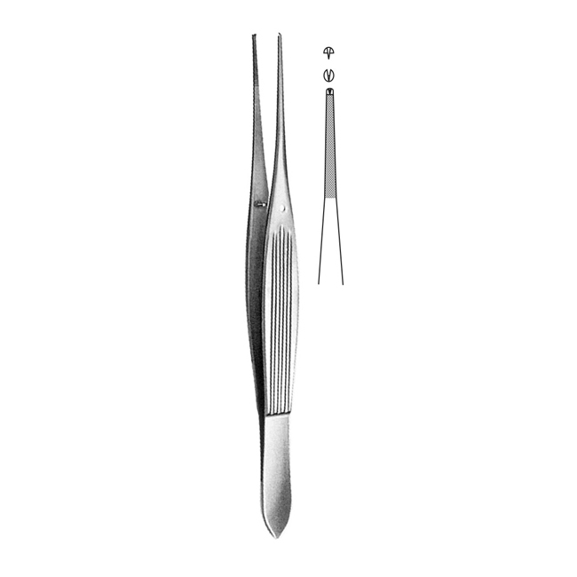 Toothed Dissecting Forceps – Fardan Enterprises
