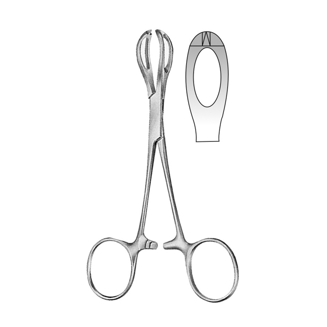 Tissue Forceps – Fardan Enterprises