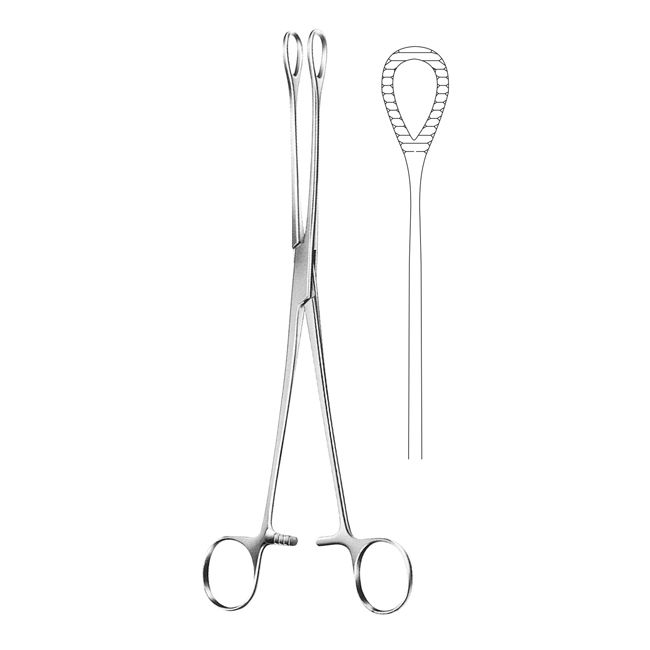 Sponge Holding Forceps – Fardan Enterprises