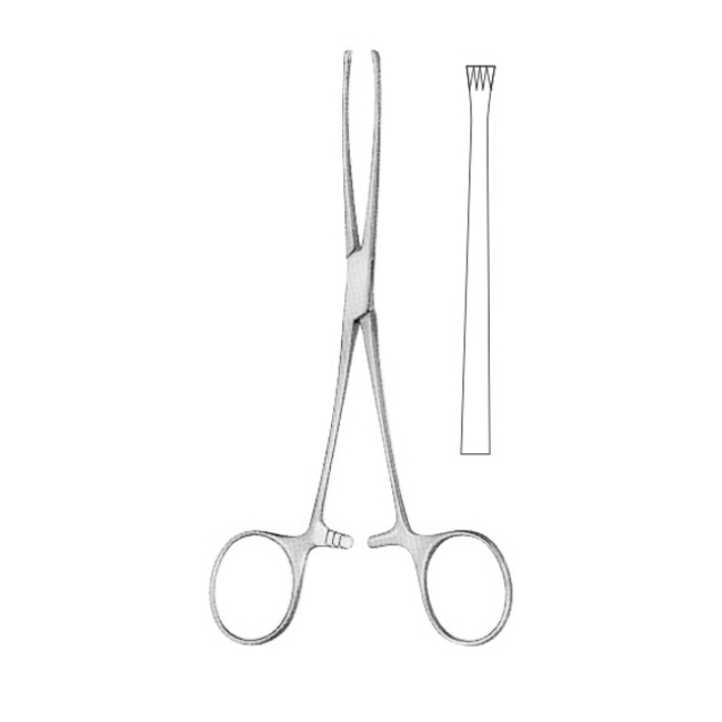 Tissue Forceps – Fardan Enterprises