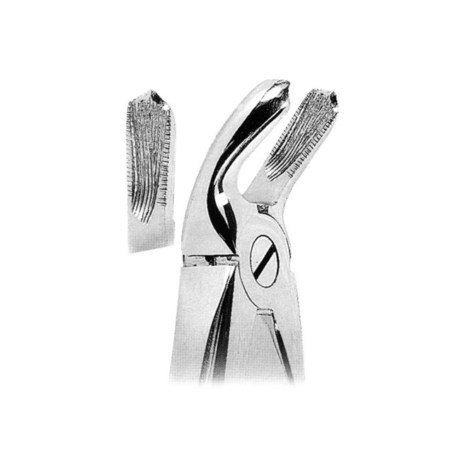 Extracting Forceps – Fardan Enterprises