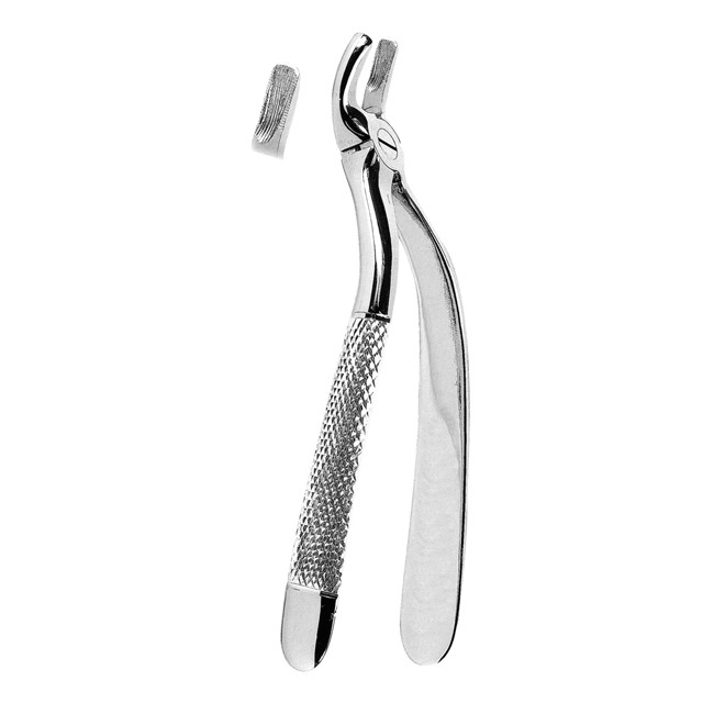 Extracting Forceps – Fardan Enterprises