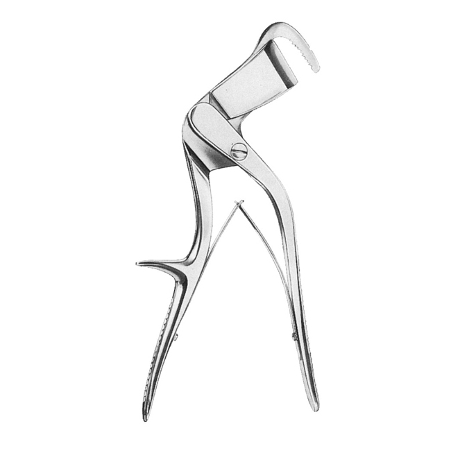 Lebsche – Fardan Enterprises