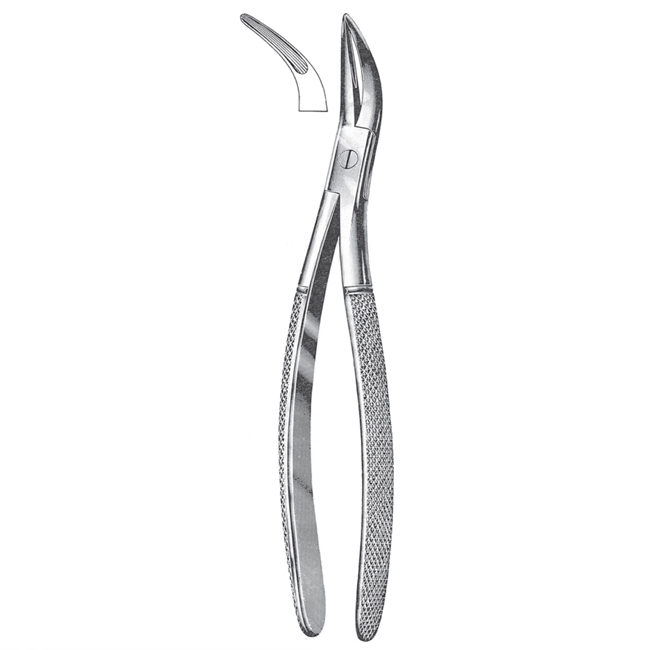 Wisdom Teeth Extracting Forceps – Fardan Enterprises